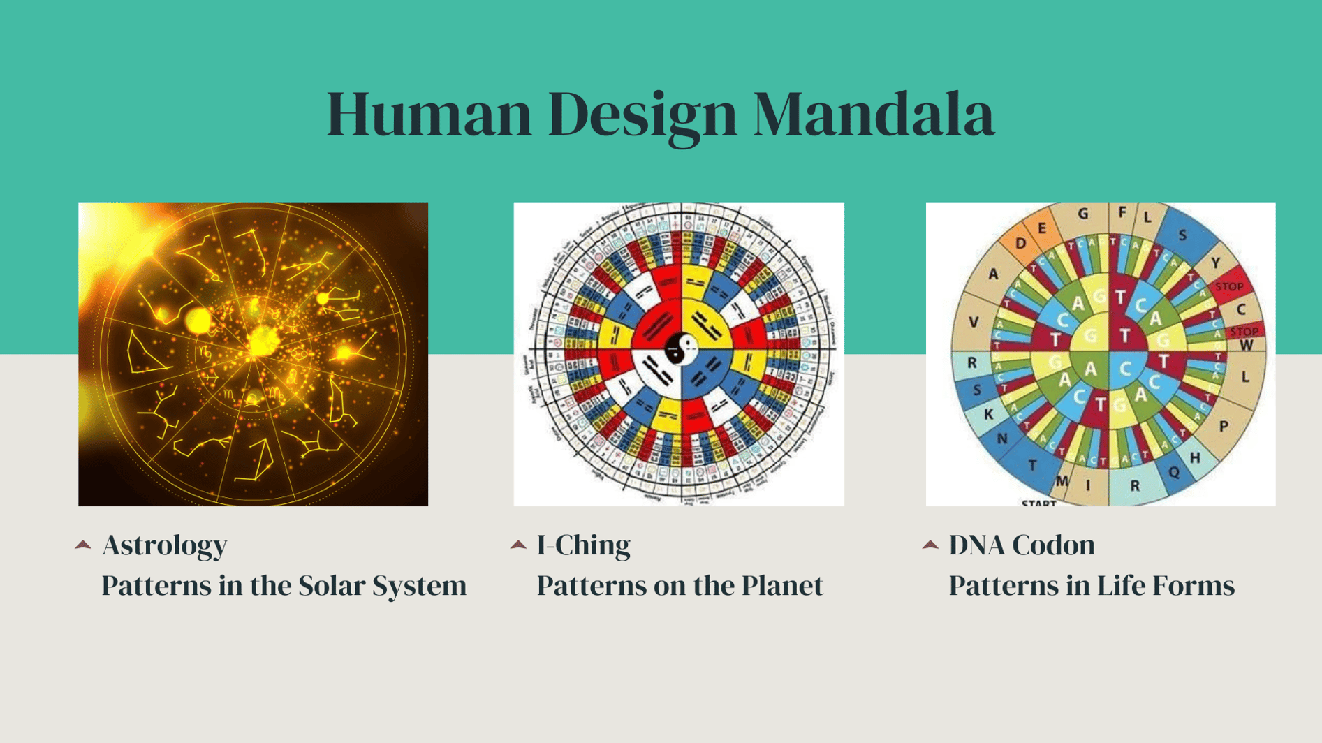 The Human Design Mandala and BodyGraph