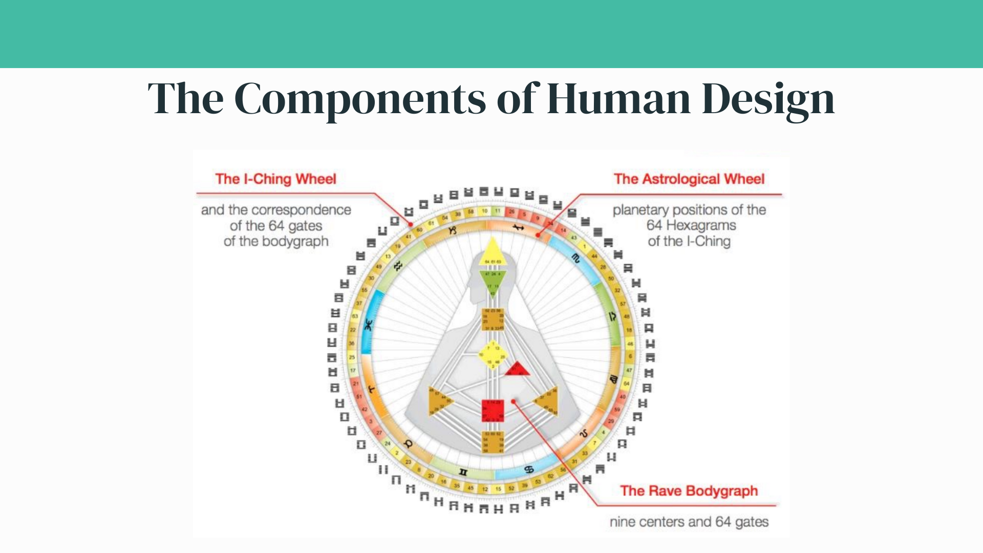 The Human Design Mandala and BodyGraph